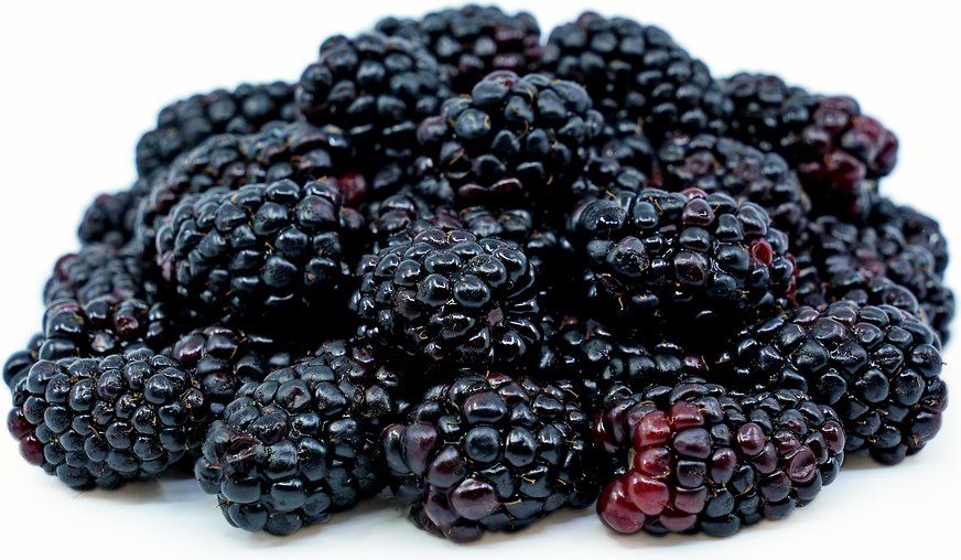 Olallieberries - The King of Berries - Small Batch Jam Co